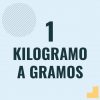 Como pasar 1 kilogramo a gramos [1 kg a g]